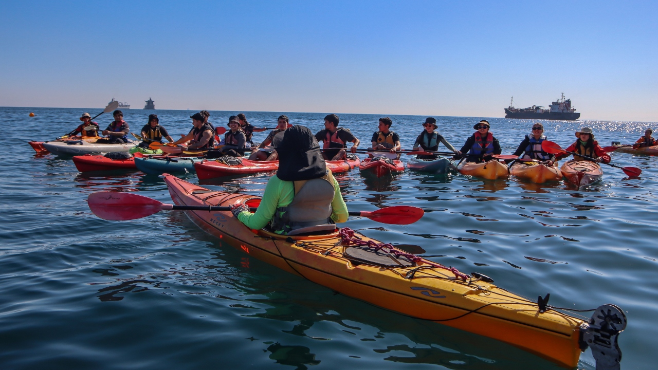 Kayak de mar: estudiantes de la UV aprenden los secretos de navegar en ...